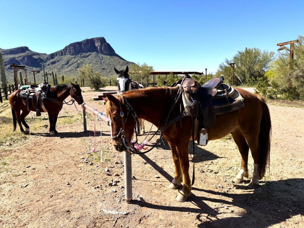 Top 10 Dude Ranch Vacation Travel Tips - TheAbundantTraveler